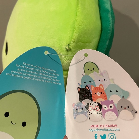 Squishmallows | Toys | Squishmallow Henry Turtle 8 | Poshmark